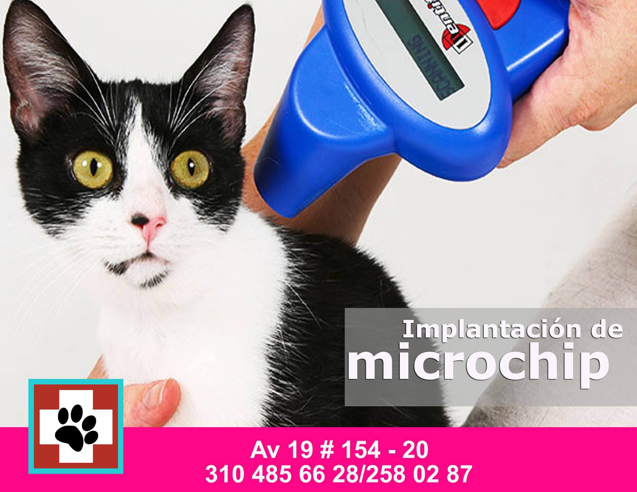 Chip mascotas – Urgencias Veterinarias Bogotá 24 Horas